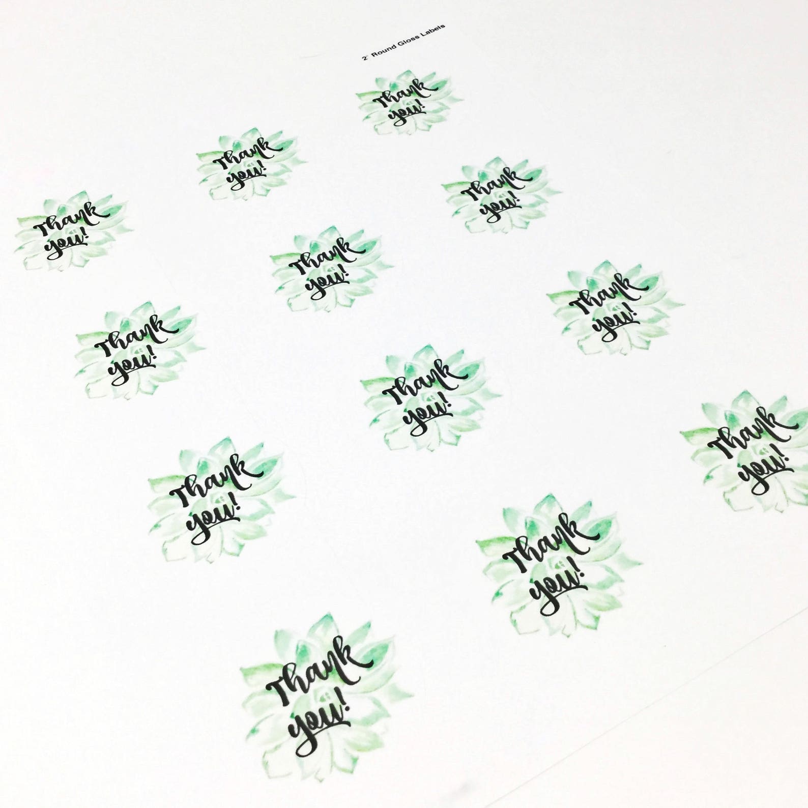 Succulent Thank You Stickers 2 Round Customer Thank You | Etsy