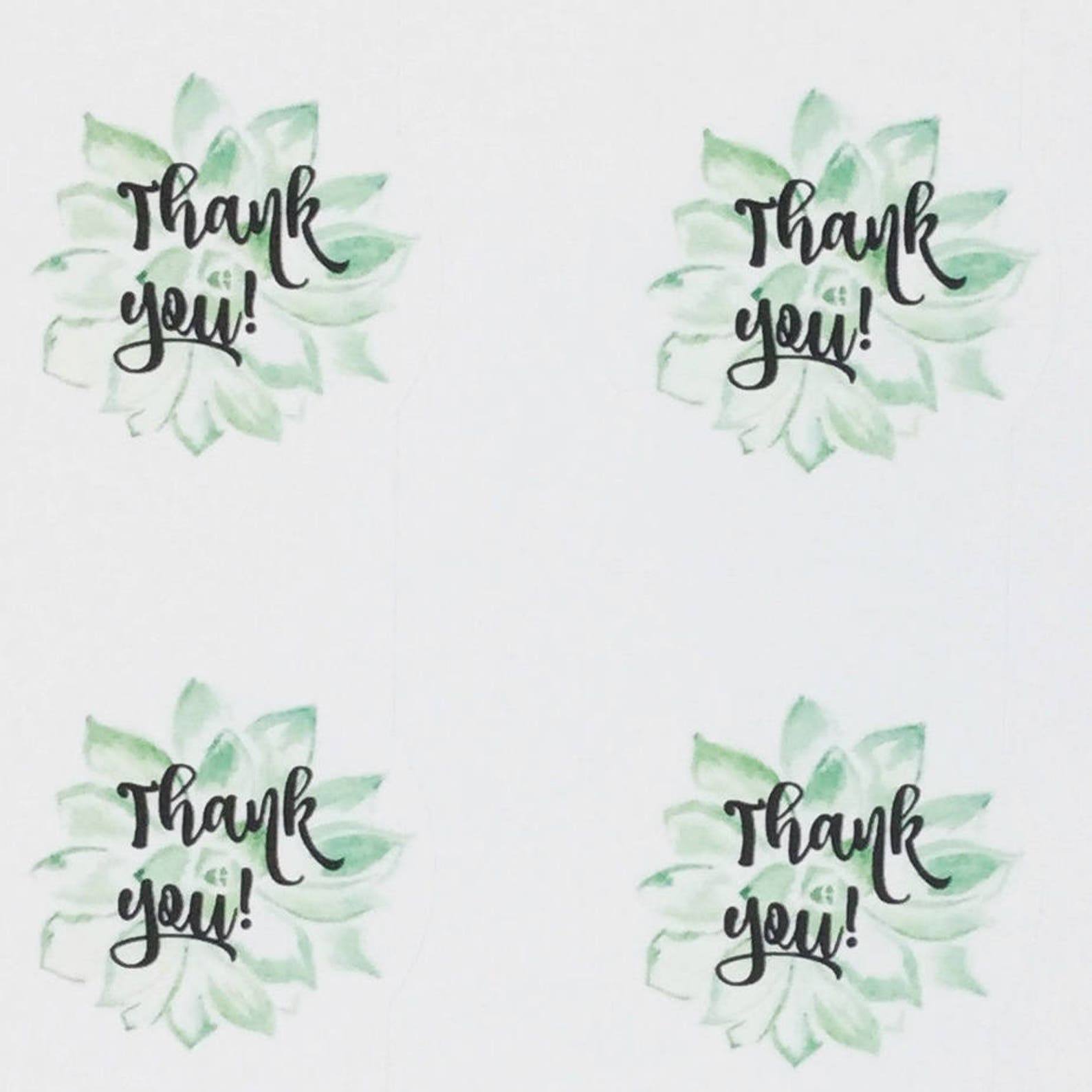 Succulent Thank You Stickers 2 Round Customer Thank You | Etsy
