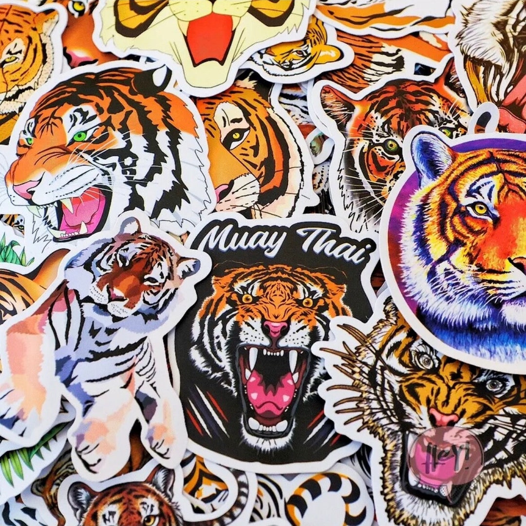 Set of 50 Tigers Big Cat Vinyl Stickers Laptop Water Bottle - Etsy