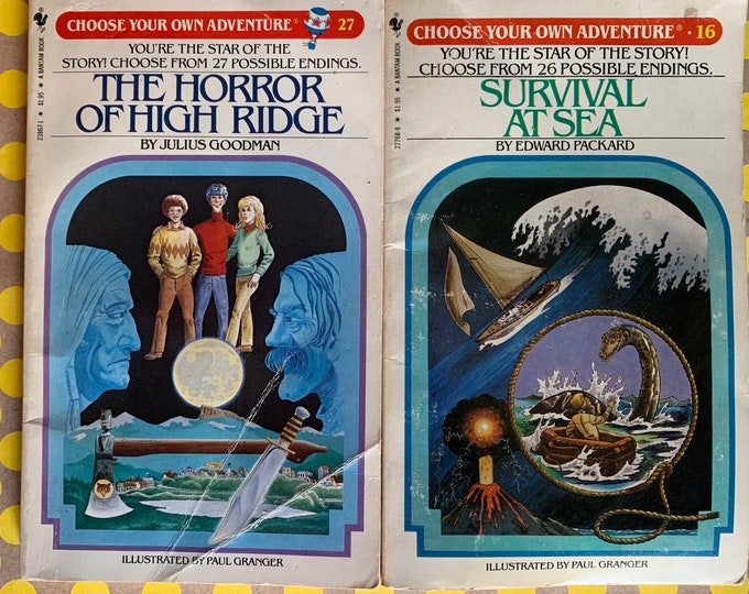 Choose Your Own Adventure// 1980s // Horror of High Ridge // Survival ...