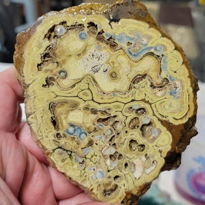 Clay Canyon Variscite Slab - Etsy