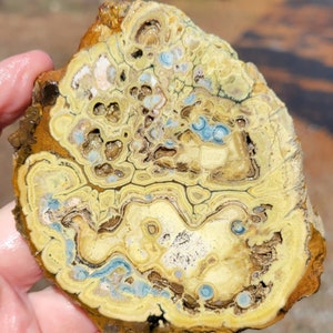 Clay Canyon Variscite Slab - Etsy