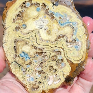 Clay Canyon Variscite Slab - Etsy