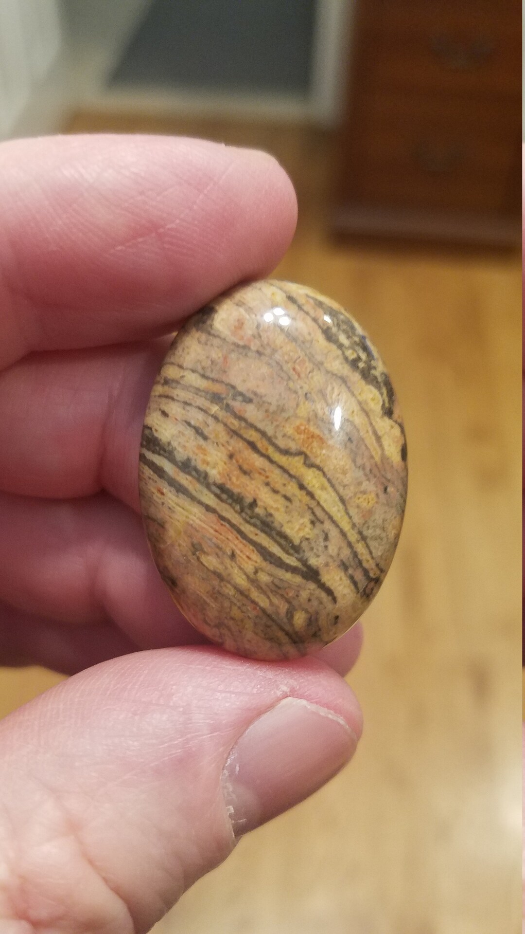 Oregon Picture Jasper - Etsy