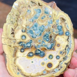 Clay Canyon Variscite Slab - Etsy