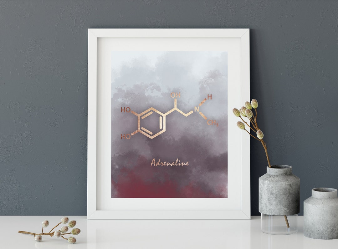 Adrenaline Molecule Poster, Adrenaline Art Print, Molecule Art Print ...