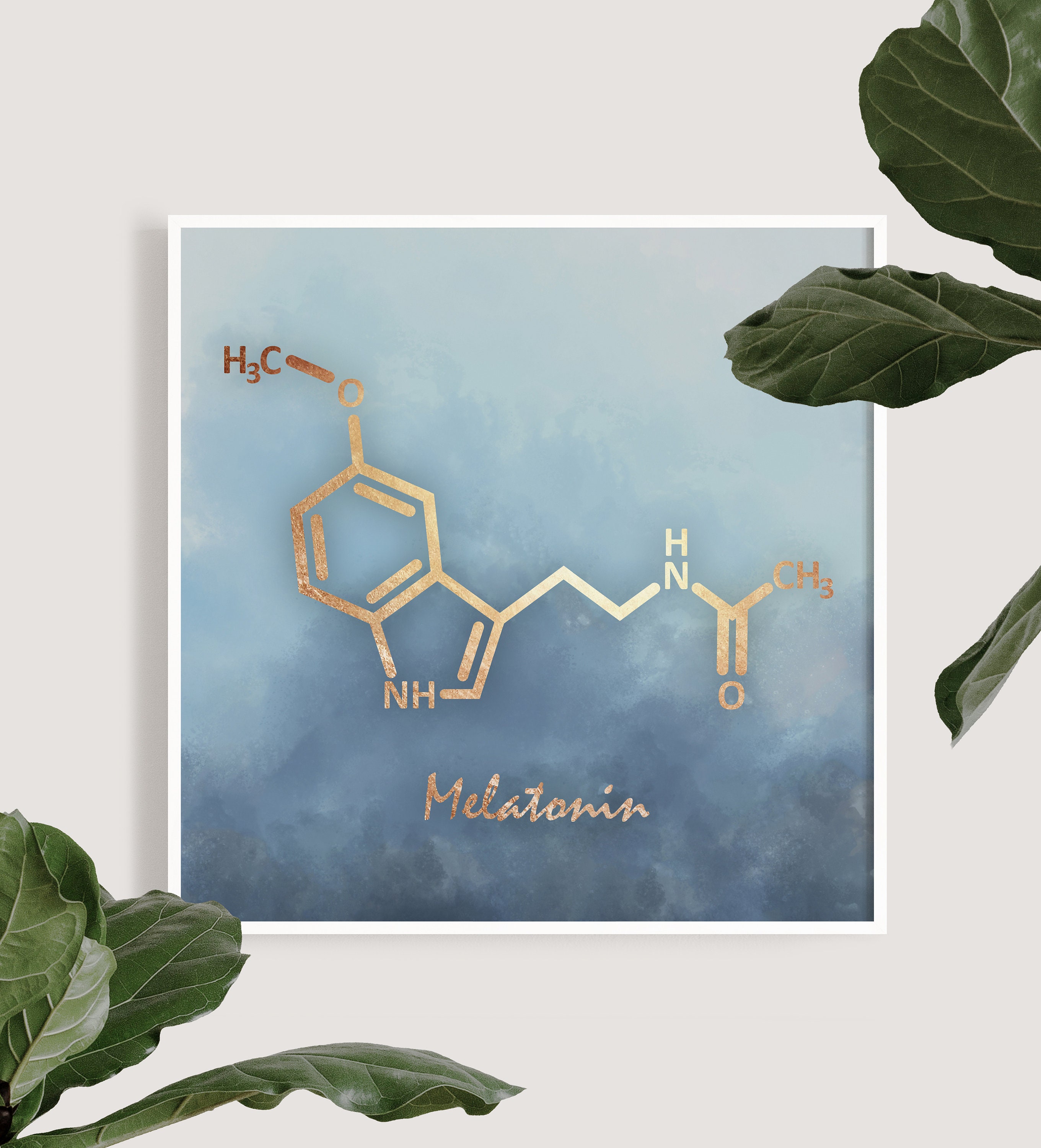 Melatonin Molecule Art Print, Chemistry Teacher Gift, Science Teacher ...