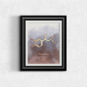 Adrenaline Molecule Art Print, Molecule Poster, Molecule Gift, Science ...