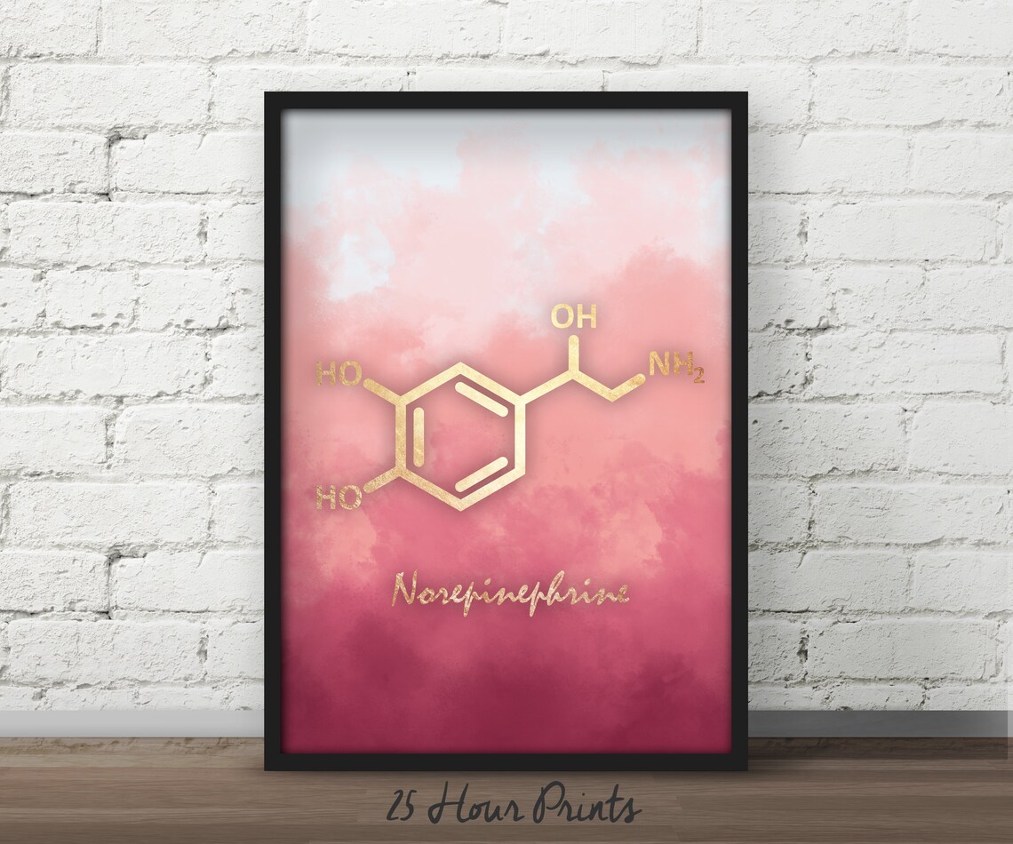 Instant Download Norepinephrine Art Norepinephrine Poster - Etsy