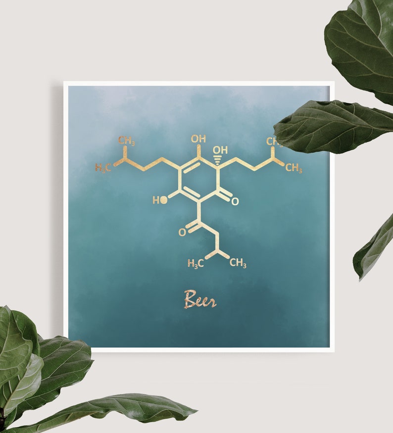 Beer Molecule Poster, Beer Poster, Molecule Art Print, Kitchen Art ...