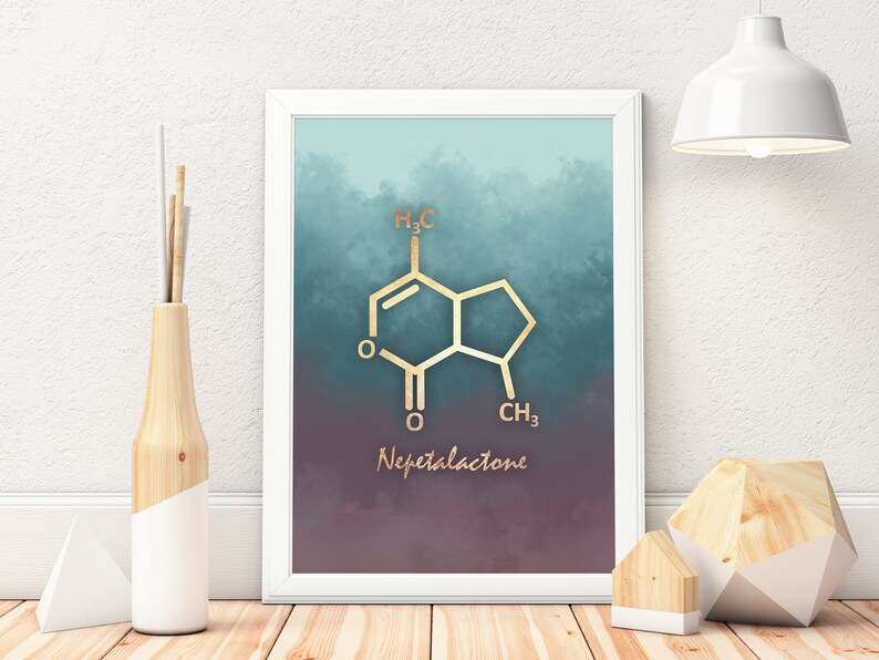 Catnip Molecule Poster Nepetalactone Molecule Science - Etsy