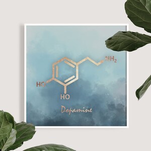 Molecule Art, Norepinephrine Art, Dopamine Art, Chemistry Gift, Teacher ...