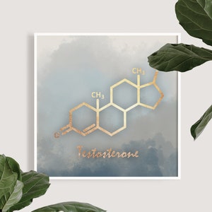 Testosterone Molecule Art Print, Testosterone Wall Art, Testosterone ...