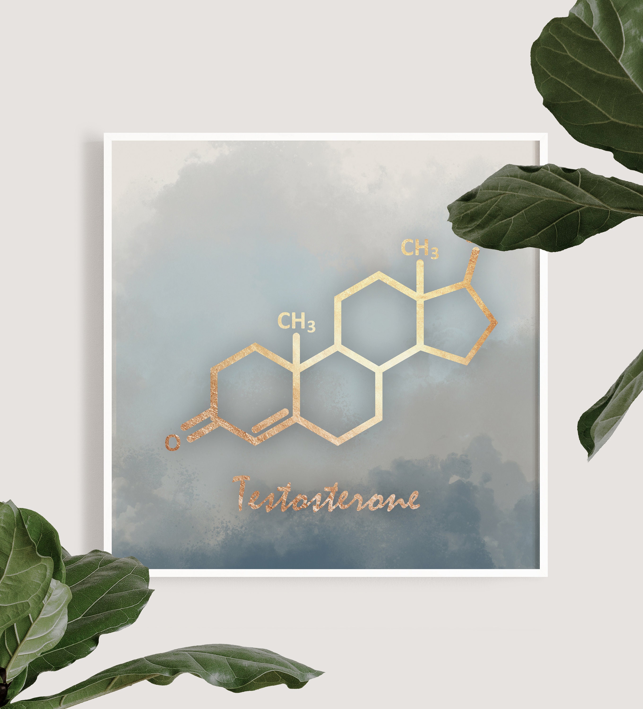 Testosterone Molecule Art Print, Testosterone Wall Art, Testosterone ...