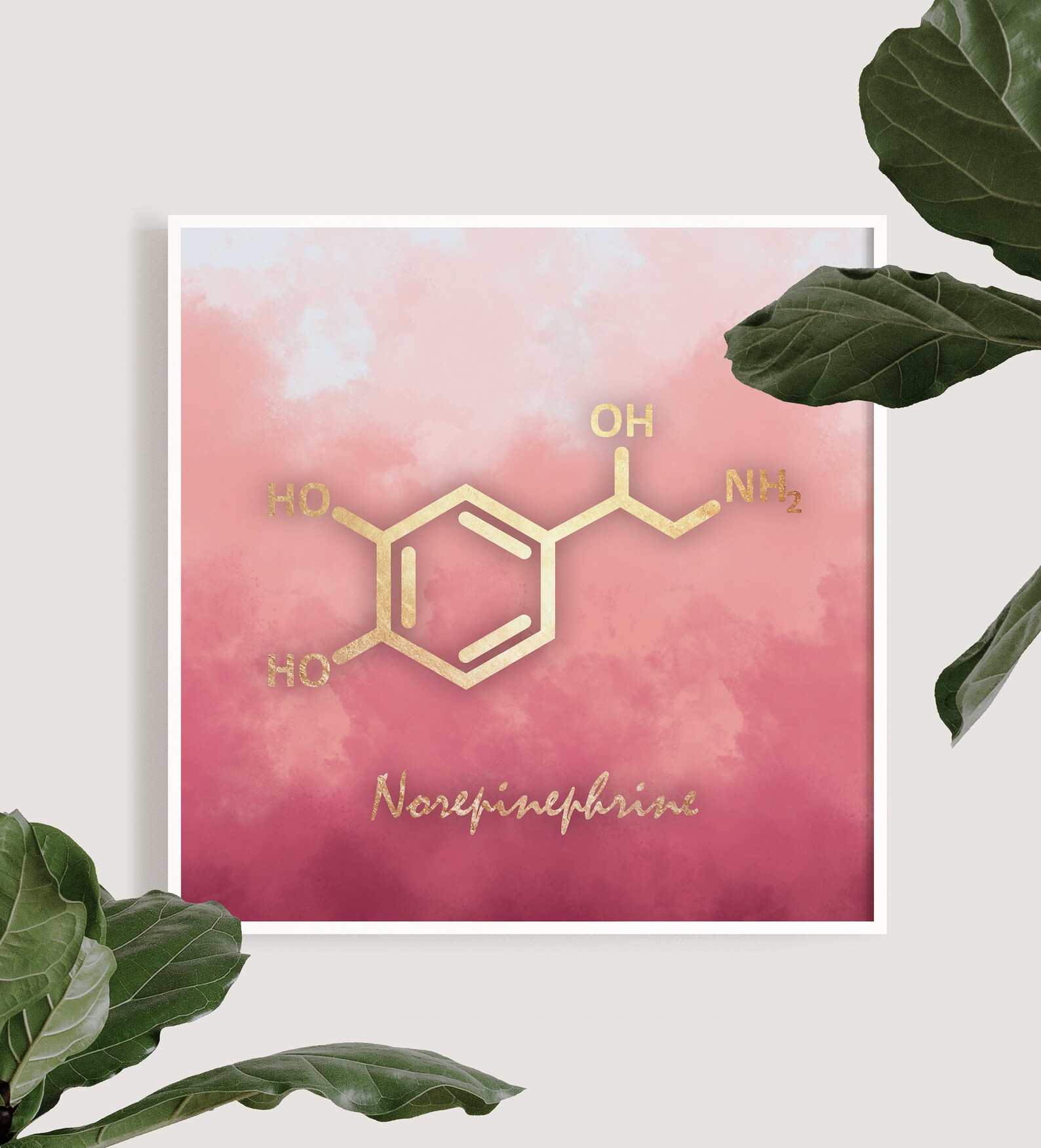 Molecule Art Norepinephrine Art Dopamine Art Chemistry - Etsy