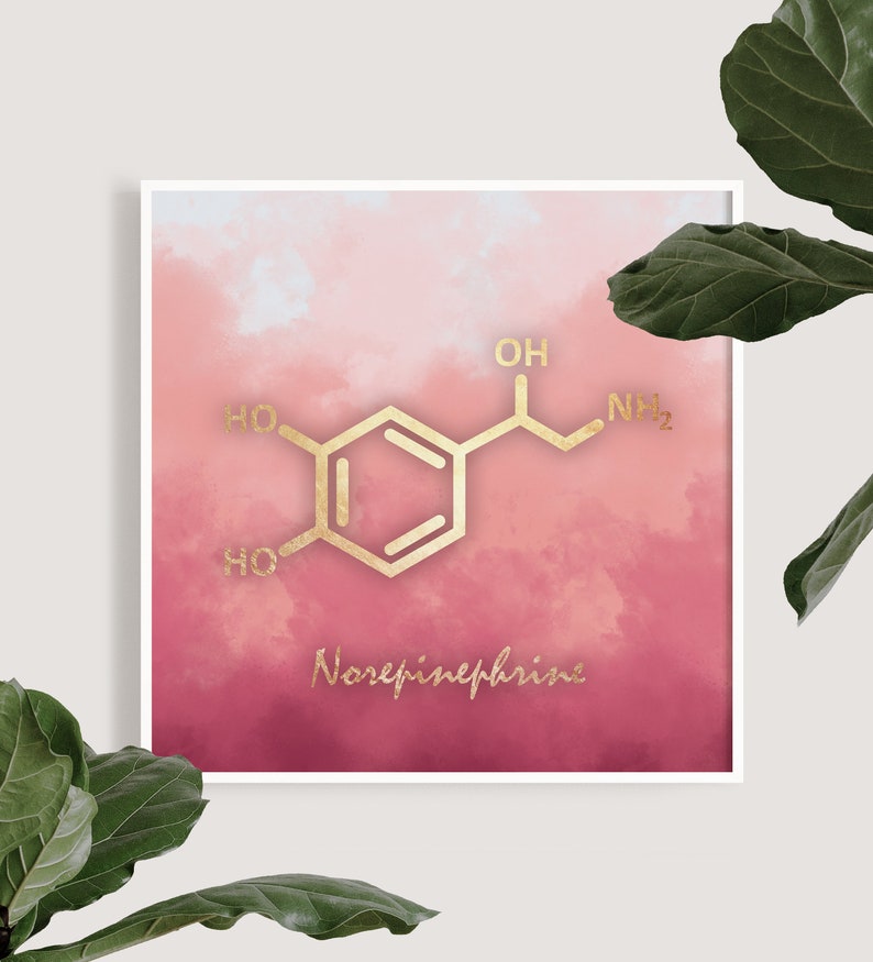 Molecule Art Norepinephrine Art Dopamine Art Chemistry - Etsy