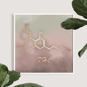 THC Molecule Art Print, THC Poster, Cannabis Poster, Cannabis Art Print ...