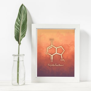 Catnip Molecule Art Print, Nepetalactone Molecule, Cat Lover Gift ...
