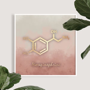 Norepinephrine Molecule Poster, Molecule Gift, Scientist Gift, Teacher ...