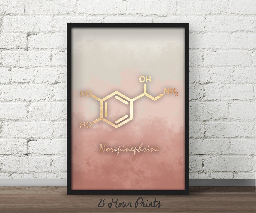 Instant Download Norepinephrine Art Print, Norepinephrine Poster ...