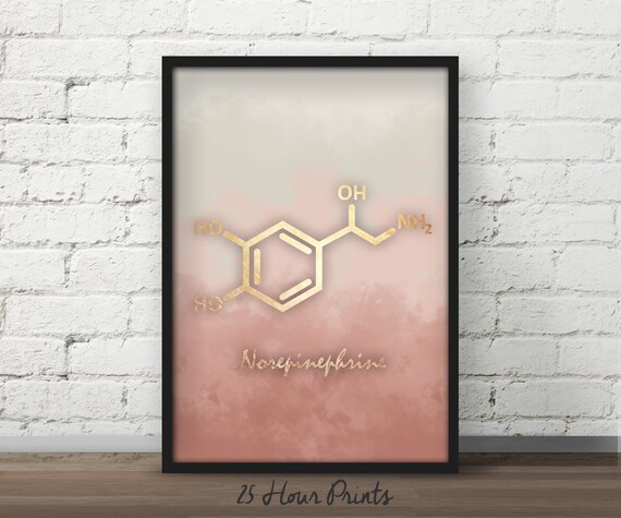 Instant Download Norepinephrine Art Print Norepinephrine | Etsy