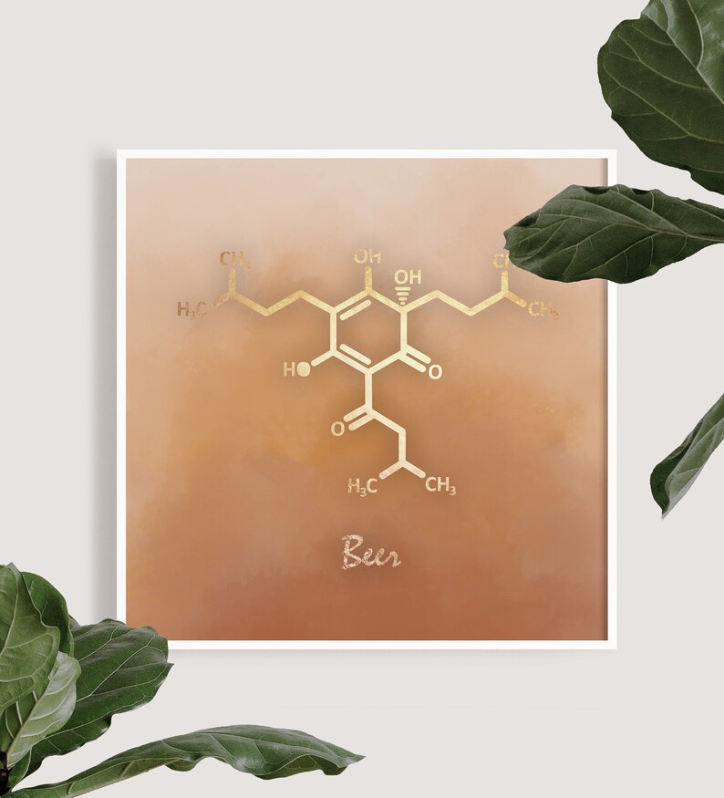 Beer Molecule Art Print Beer Poster Beer Molecule Poster - Etsy