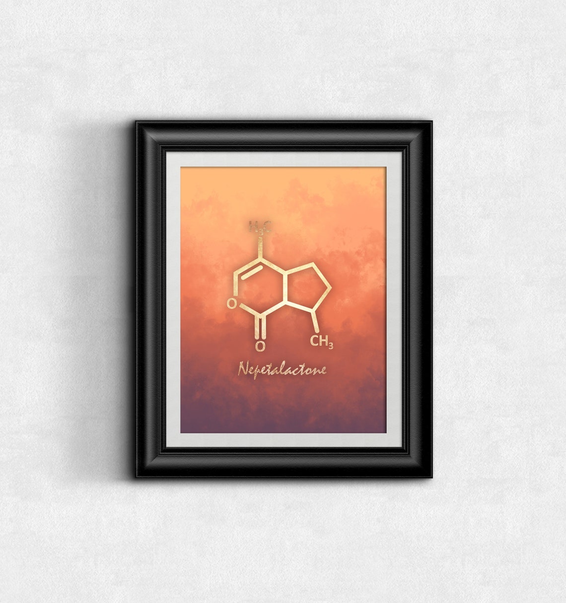 Catnip Molecule Art Print Nepetalactone Molecule Cat Lover - Etsy