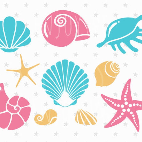 Sea Shell Svg - Etsy