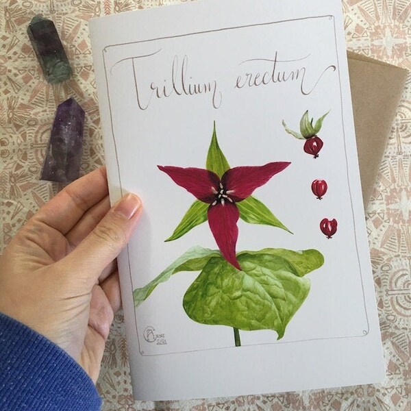 Trillium - Etsy