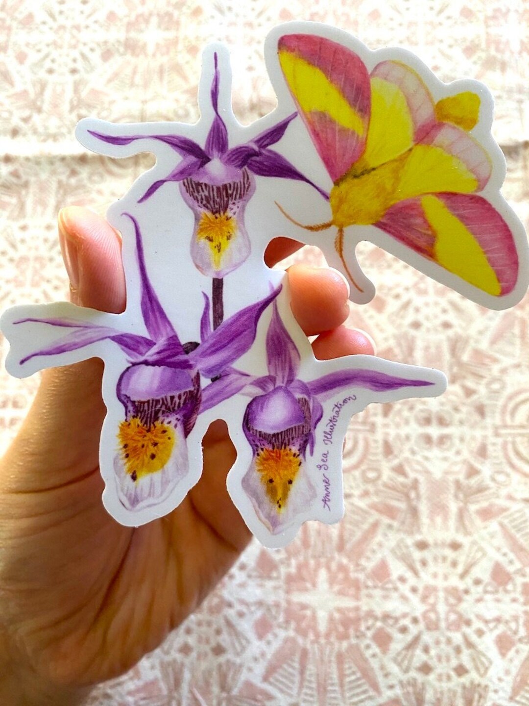 Pink Maple Moth Sticker Vinyl Stickers Nature Lover Sticker Moths and ...