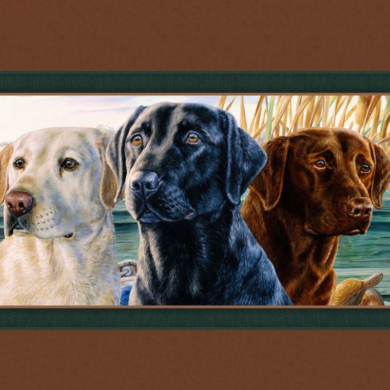 Lab Quilt Panel - Etsy