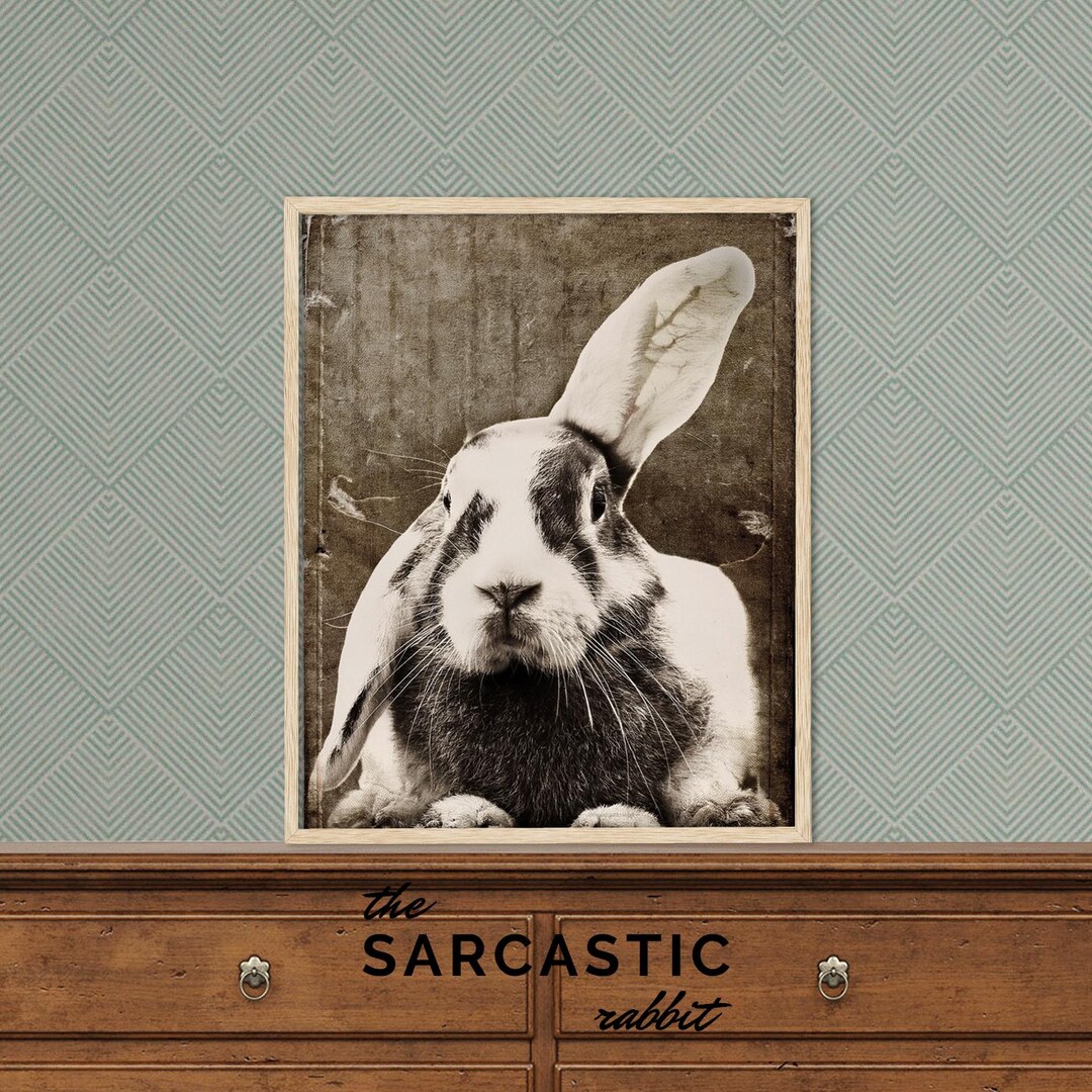 Helicopter Head, Digital Download, Art, Poster, Print, Bunny, Rabbit ...