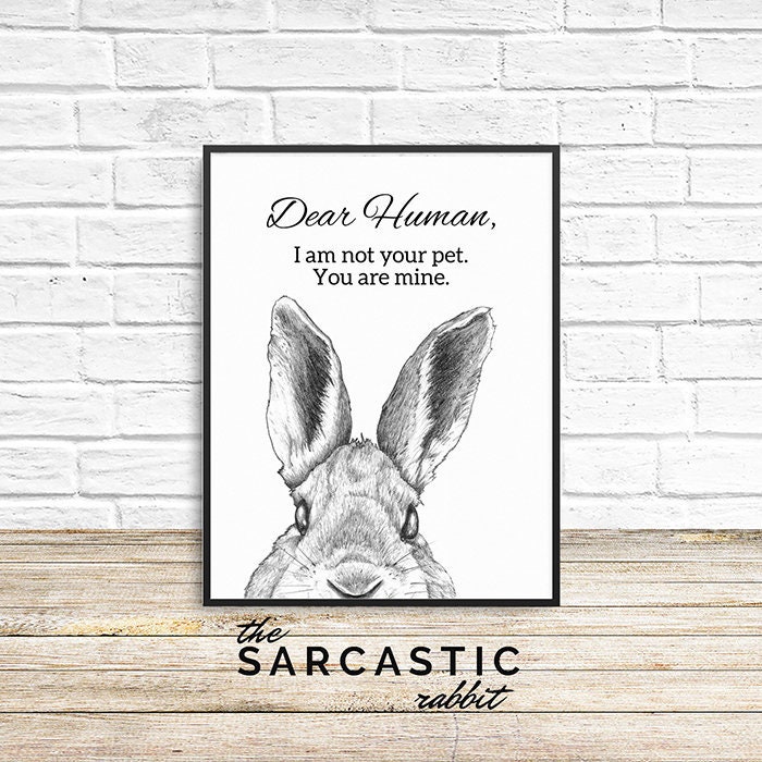 I Am Not Your Pet, Bunny, Rabbit, Art, Print, Poster, 8x10, Instant ...