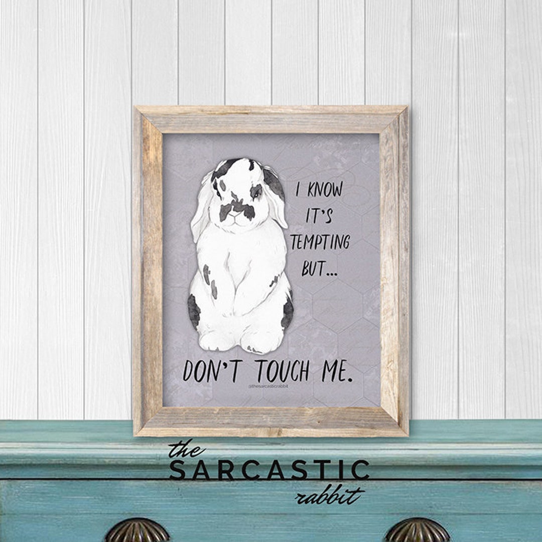Don't Touch Me Rabbit Bunny Art Poster Print 8x10 - Etsy