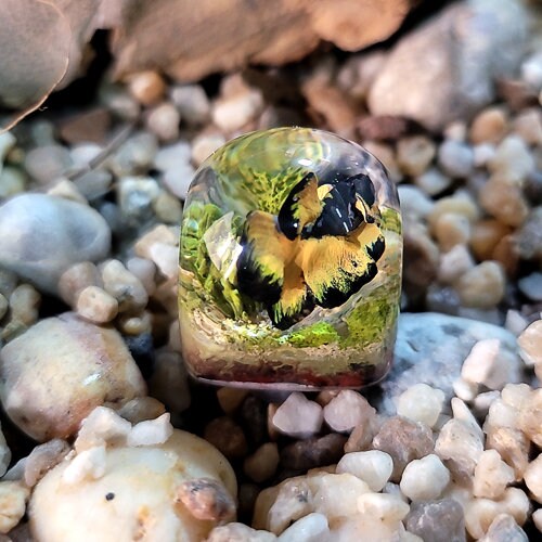 Betta Fish Keycaps, Fighting Fish Mechanical Keyboard Buttons, Betta ...