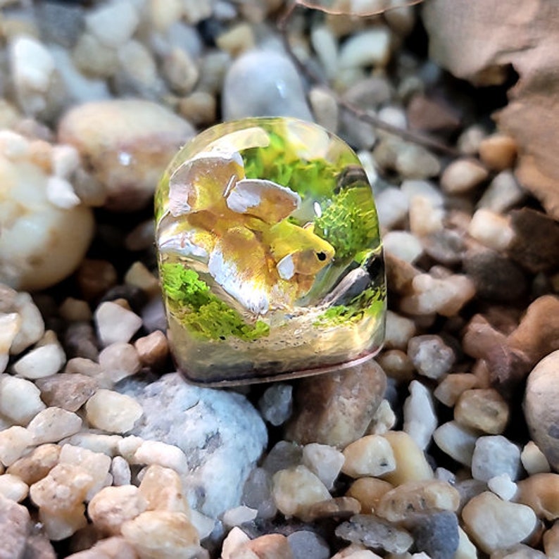 Betta Fish Keycaps, Fighting Fish Mechanical Keyboard Buttons, Betta ...