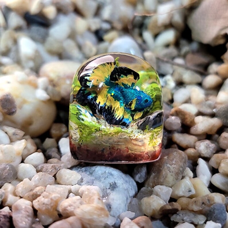 Betta Fish Keycaps, Fighting Fish Mechanical Keyboard Buttons, Betta ...