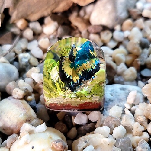 Betta Fish Keycaps, Fighting Fish Mechanical Keyboard Buttons, Betta ...