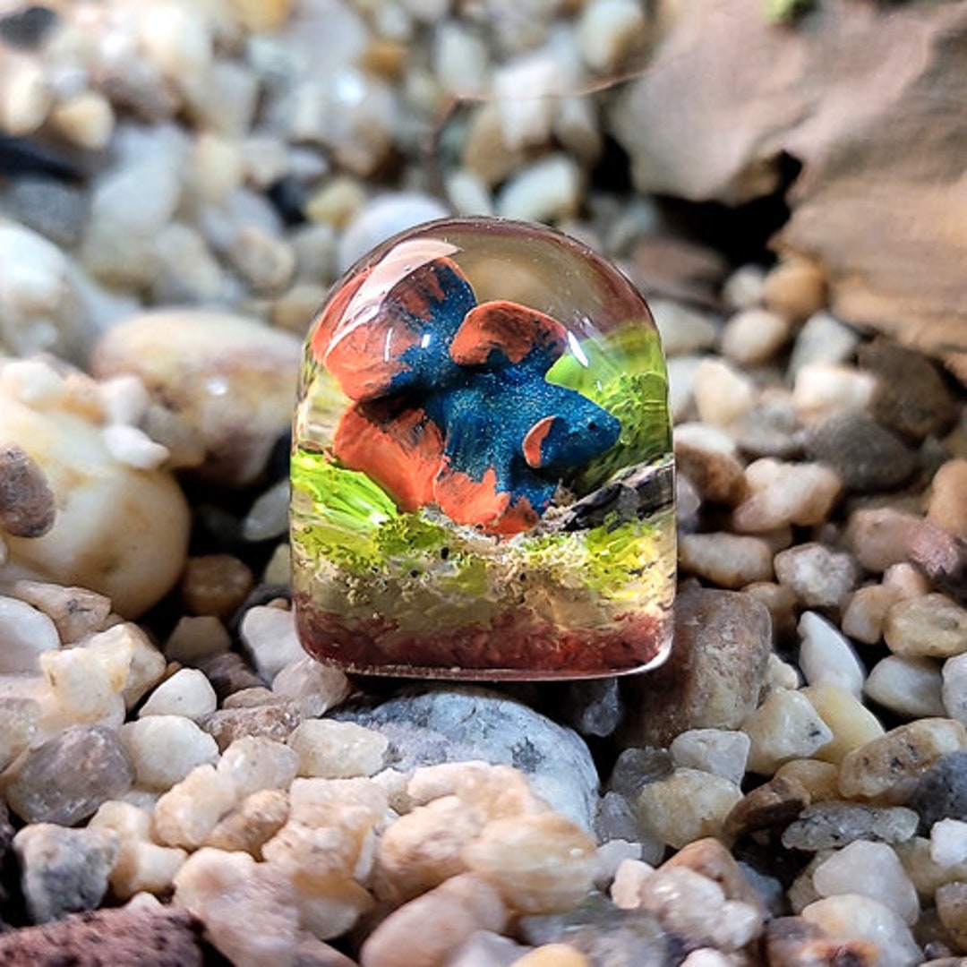 Betta Fish Keycaps, Fighting Fish Mechanical Keyboard Buttons, Betta ...