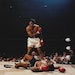 1965 MUHAMMAD ALI Vs. Sonny Liston Knockout PAINTING Cassius Clay Print ...