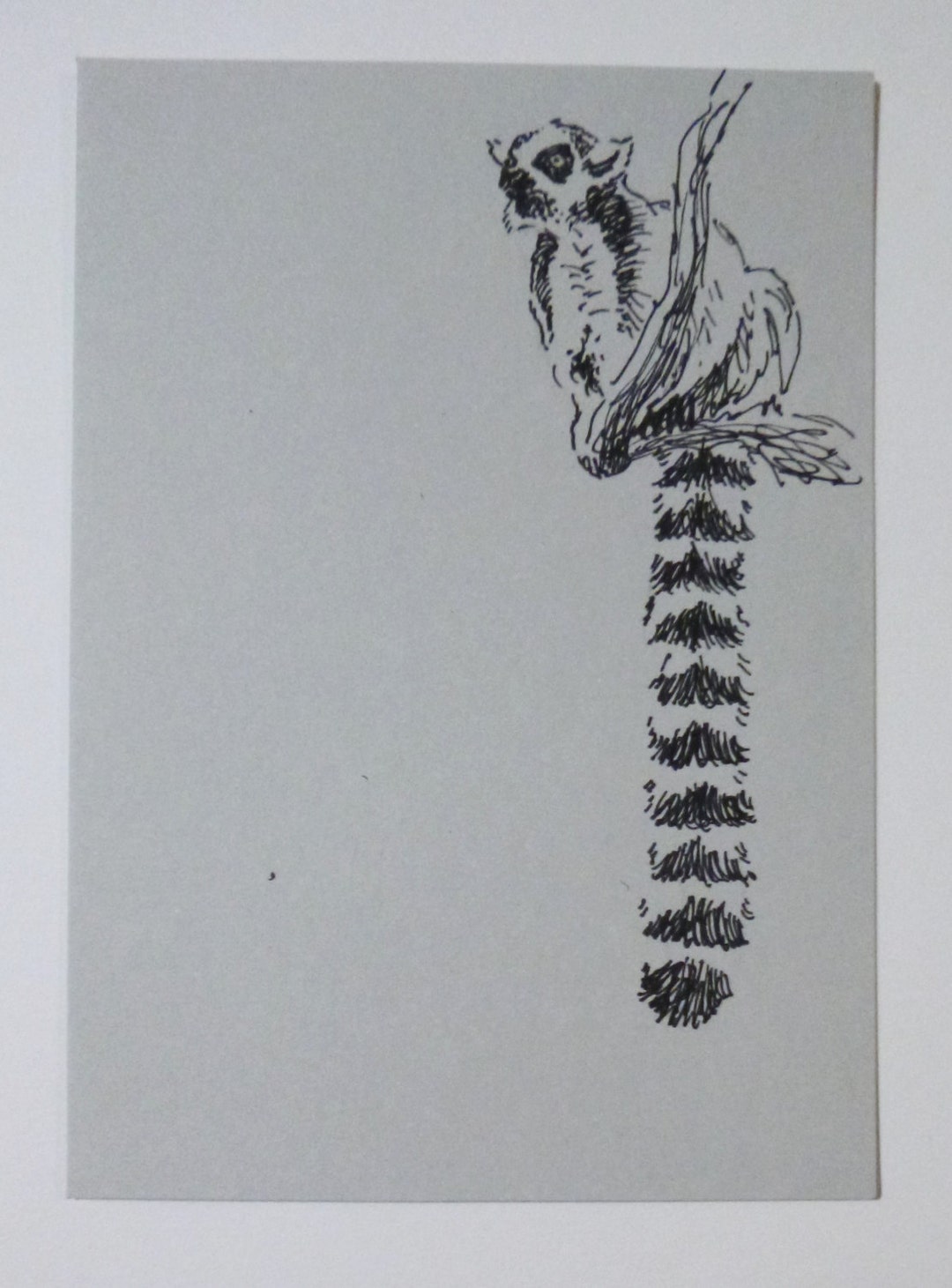 Ring Tailed Lemur Hand Drawn Gift Card, Unusual Animal Illustration ...