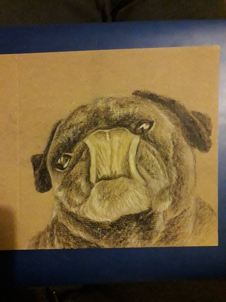 Custom Birthday Card Personalised Animal Illustration Gift | Etsy