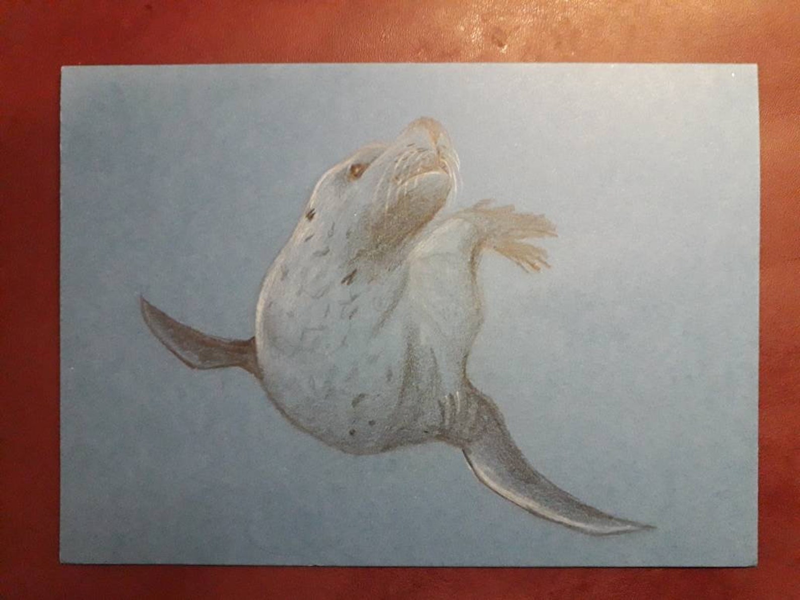 Hand Drawn Sea Lion Card, Birthday Gift, Seal, Wild Animal, Ocean ...