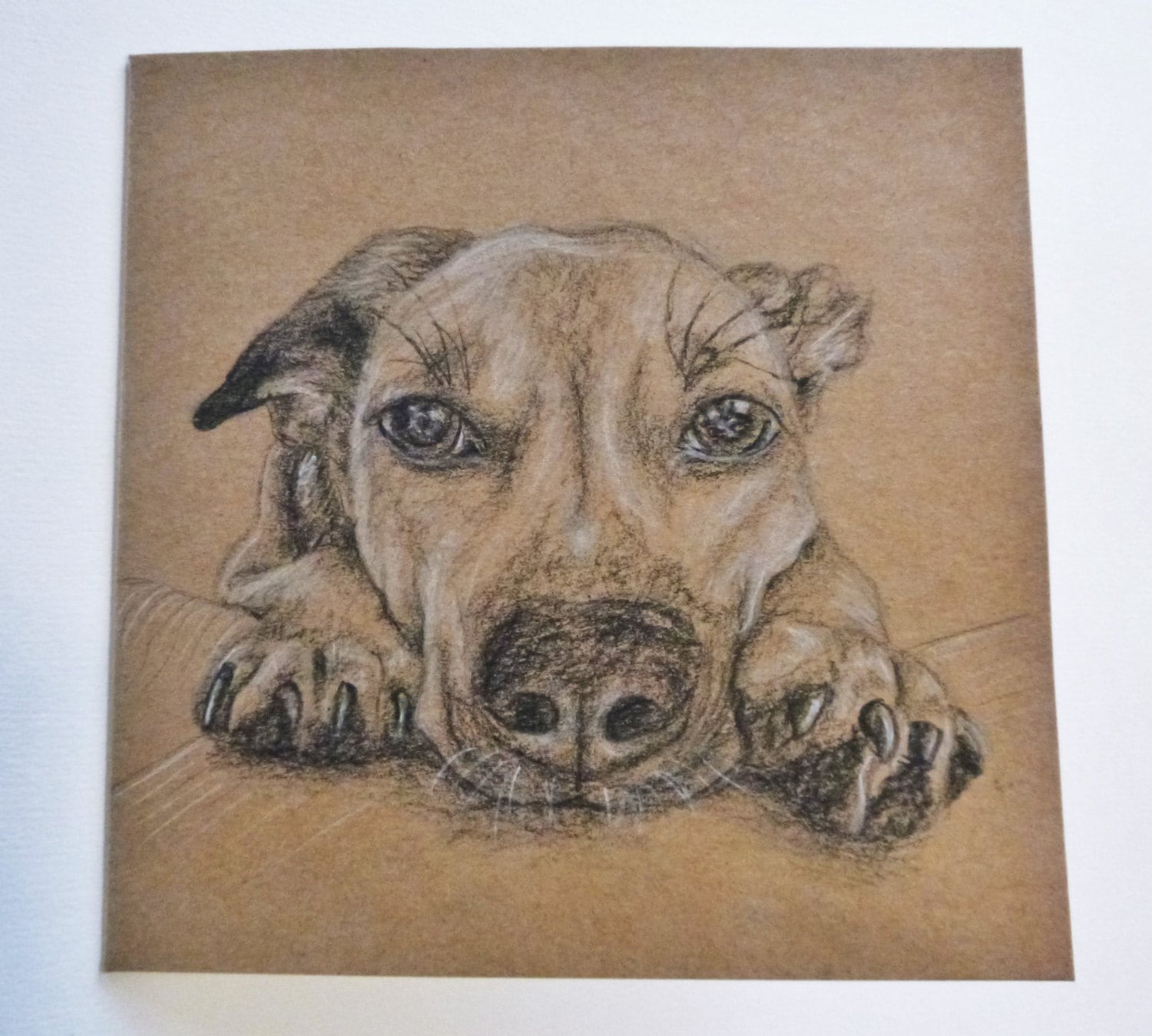 Your Pet on a Card Personalised Gift Card for Dog or Pet | Etsy