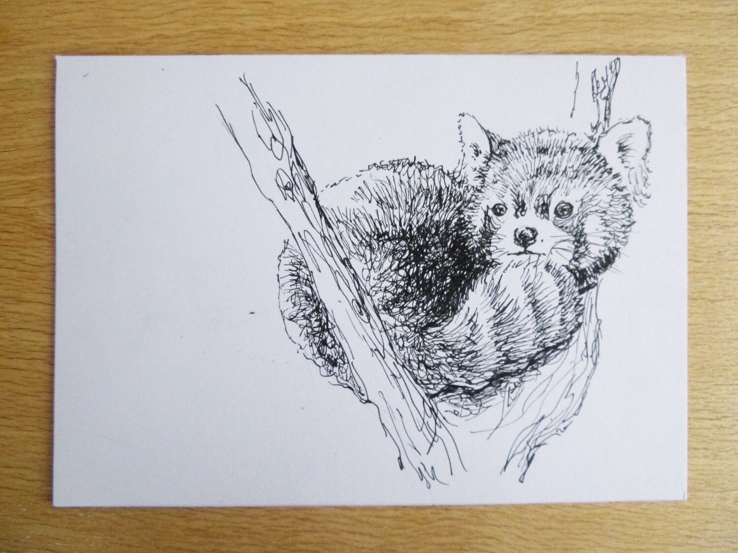 Pen Drawing Red Panda Gift Card, Hand Drawn Original Artwork Birthday ...