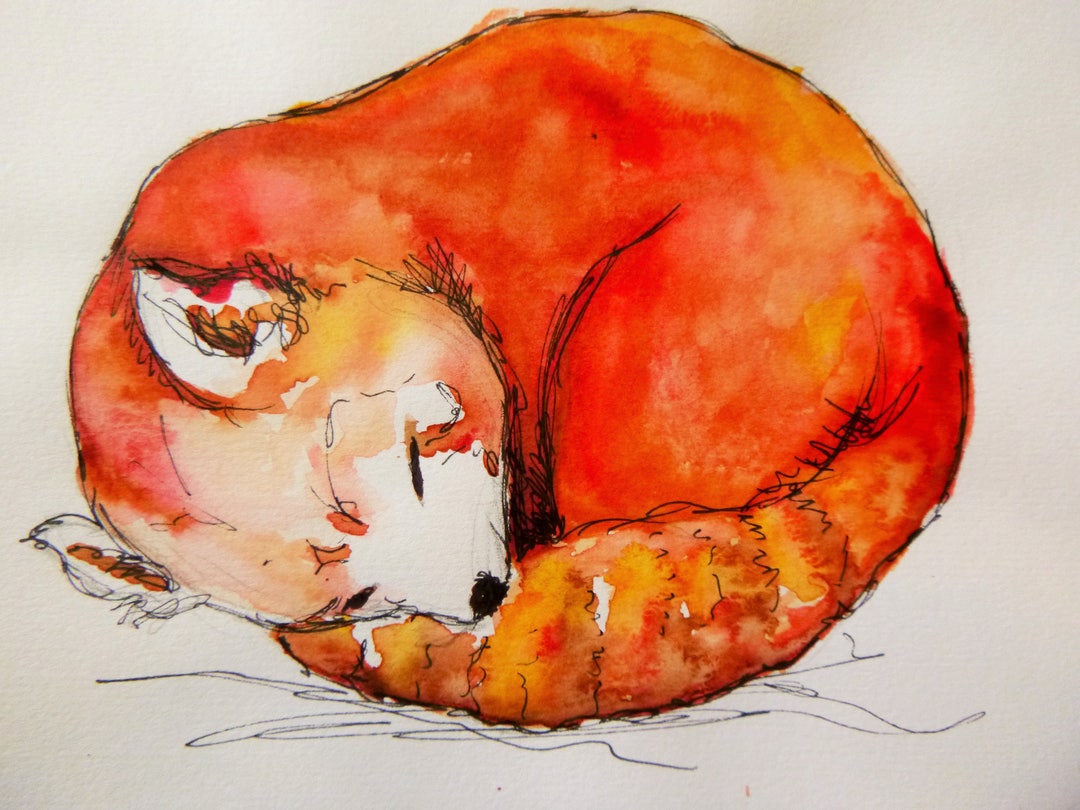 Watercolour Red Panda Painting, Panda Pen Drawing, Original Artwork ...