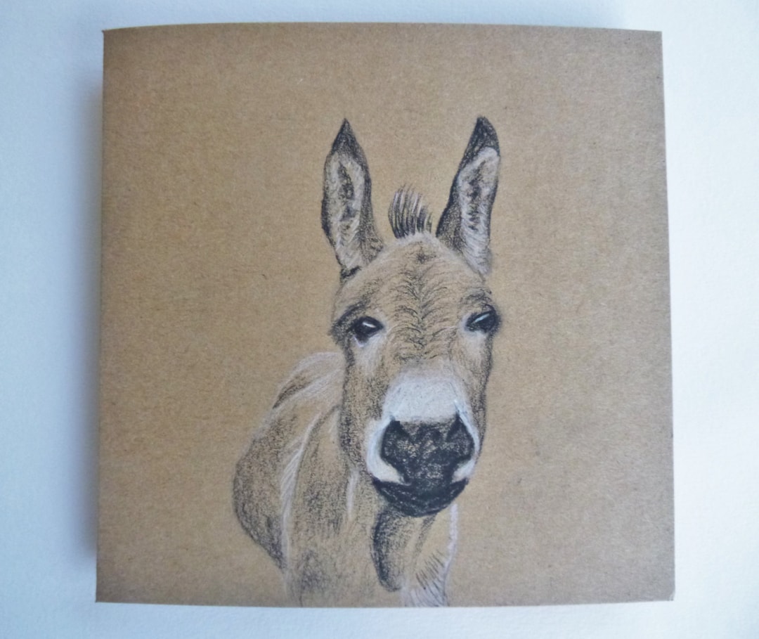 Hand Drawn Card, Cute Donkey, Original Artwork Greeting Card, Farm ...
