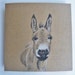 Hand Drawn Card, Cute Donkey, Original Artwork Greeting Card, Farm ...