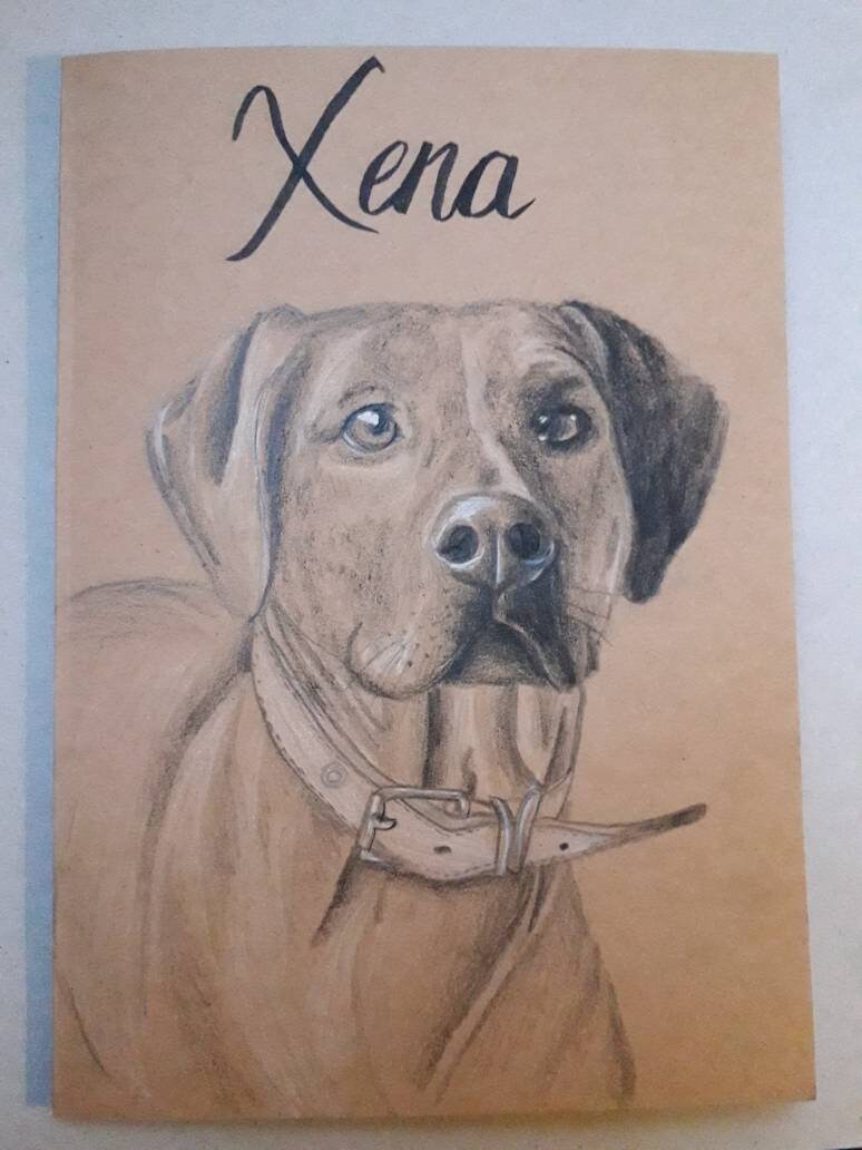 Custom Birthday Card Personalised Animal Illustration Gift | Etsy