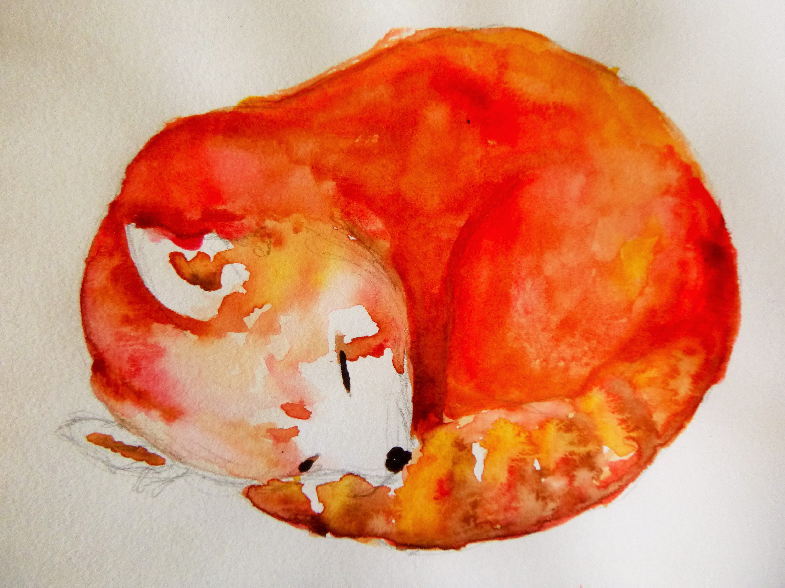 Watercolour Red Panda Painting, Panda Pen Drawing, Original Artwork ...